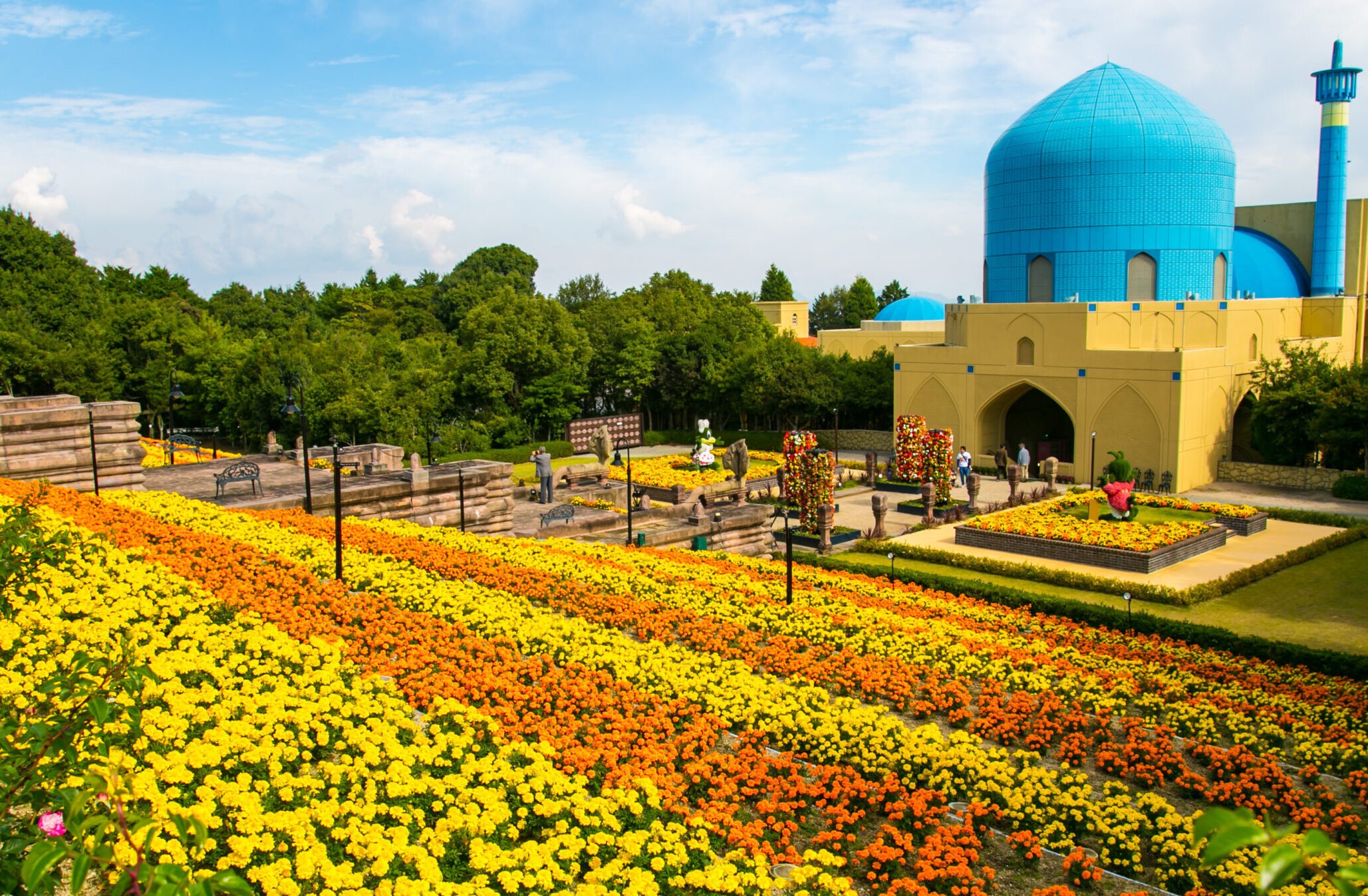 Marigold Gold Rush Festival | Reoma Resort and New Reoma World